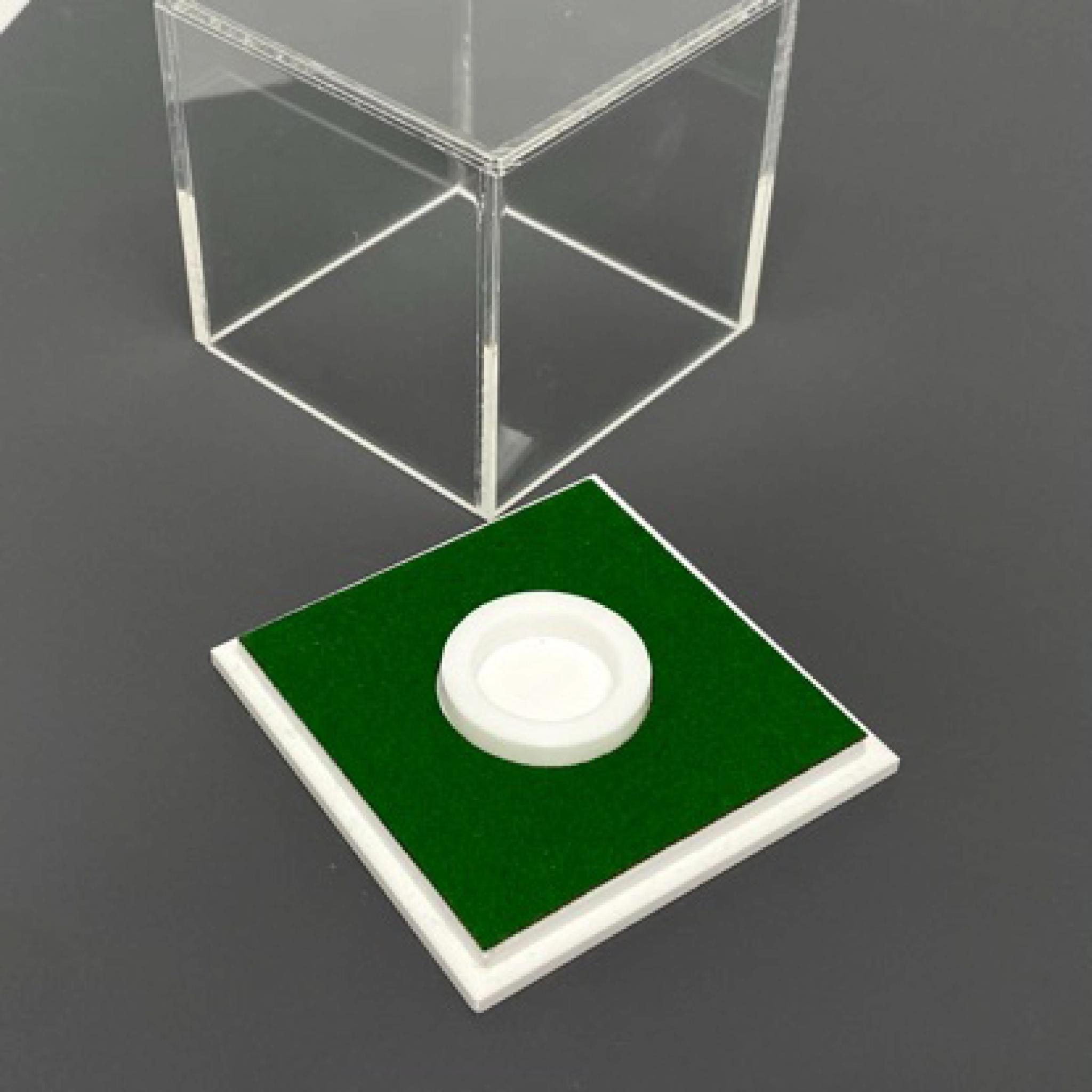 Premium Snooker Ball Display Case | Puffin Plastics